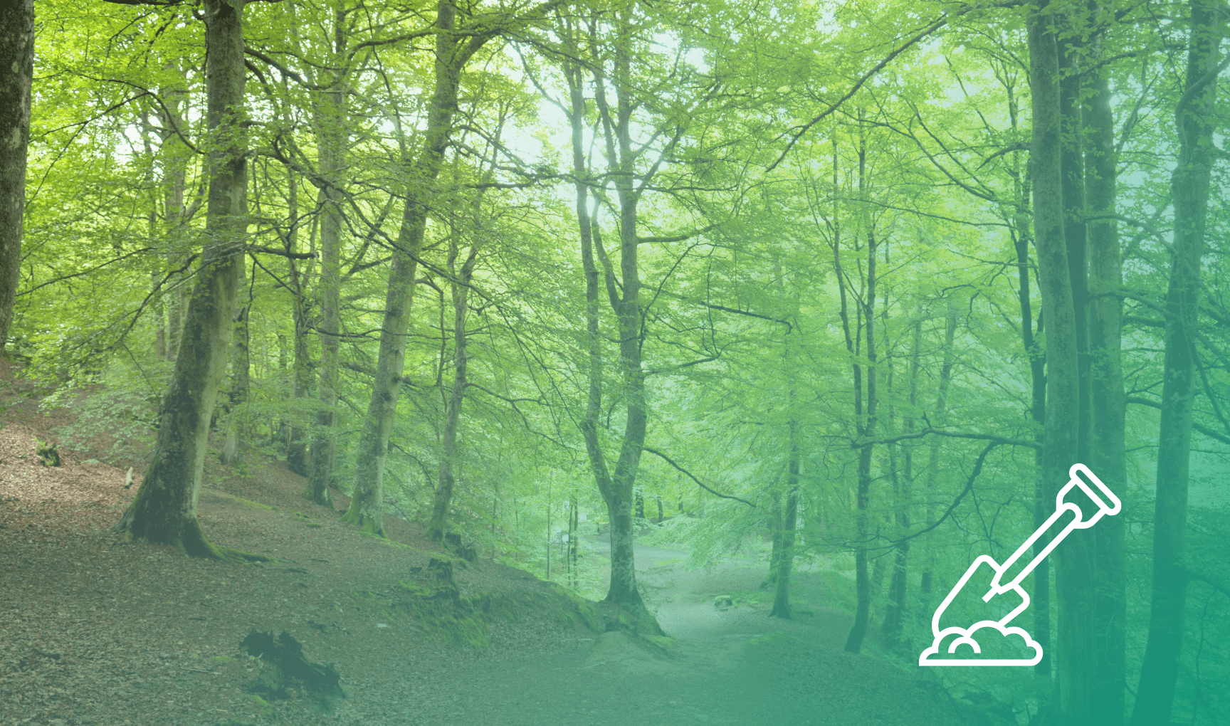 Forestry and Woodland - Tilhill Forestry