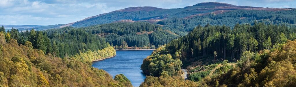 About Us and Our Forest Management Services - Tilhill Forestry