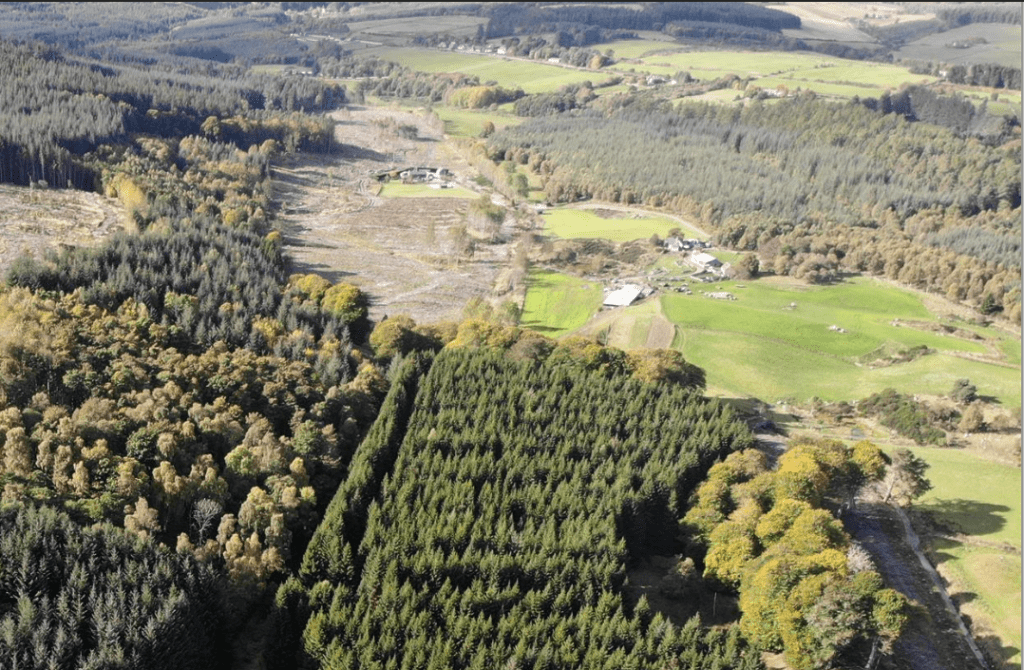 Woodland Creation Grants in Scotland - Tilhill Forestry
