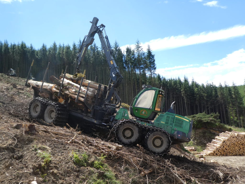 Woodland & Sustainable Forest Management | Tilhill Forestry UK