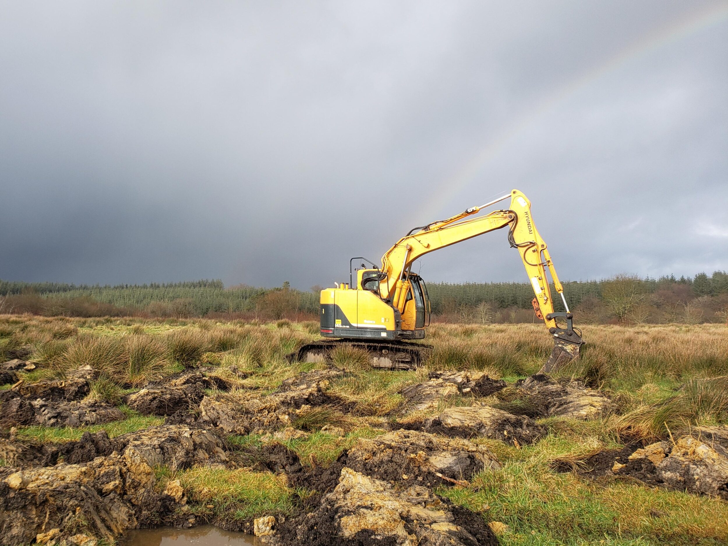 A Typical Day as an Assistant Forest Manager - Tilhill Forestry