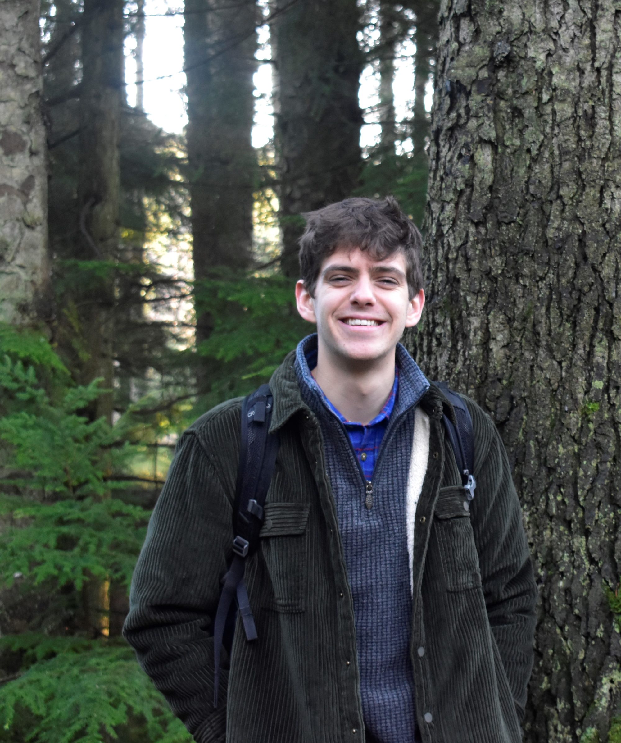 Peter Roe - Tilhill Forestry