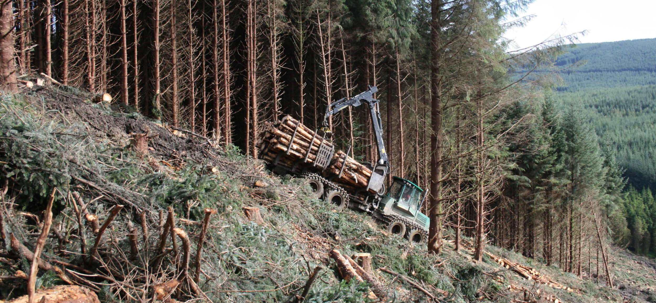 The UK Forest Market Report - Tilhill Forestry
