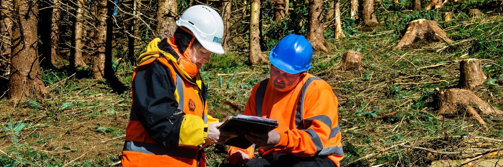 Safety and Assurance - Tilhill Forestry