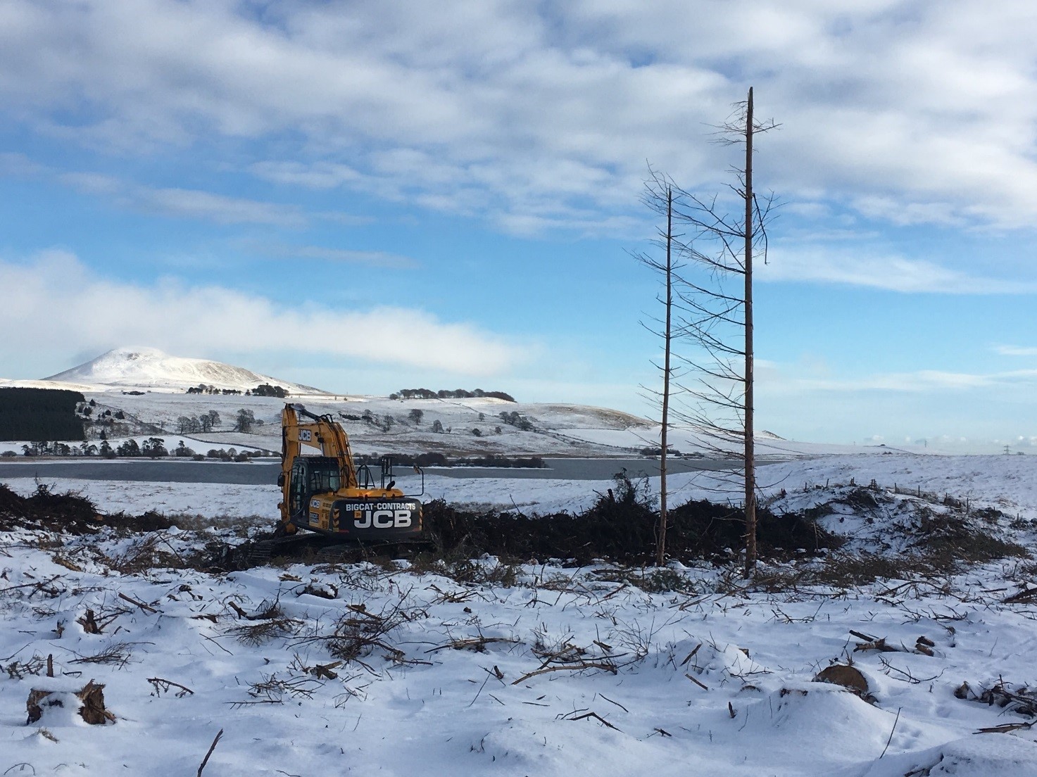 Book early to avoid disappointment? - Tilhill Forestry