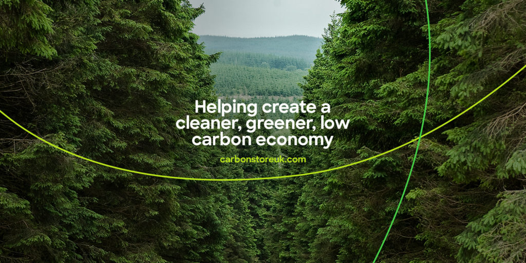 The Benefits of Nature-Based Solutions for Companies and their ...