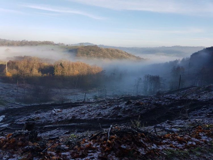 Q & A with Harvesting Contracts Manager Niall Duncan - Tilhill Forestry