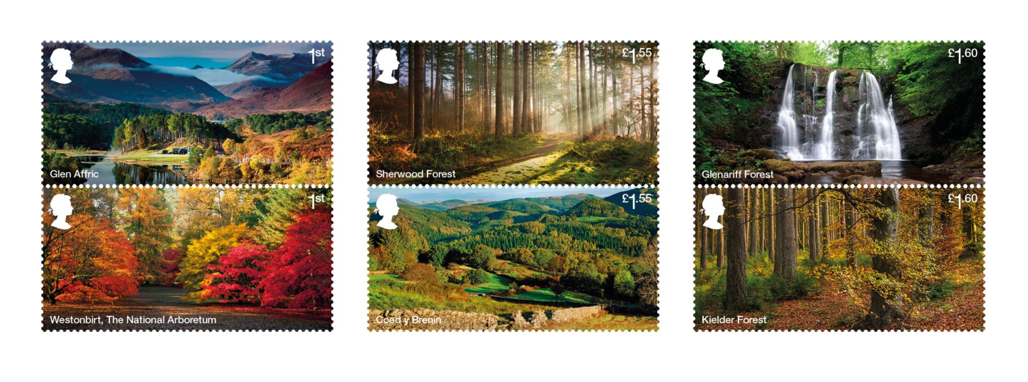 Six forests of the UK feature on new Royal Mail special stamps ...