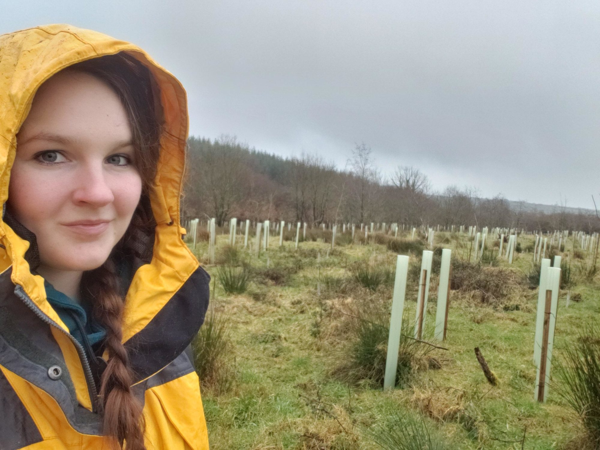 A Typical Day as an Assistant Forest Manager - Tilhill Forestry