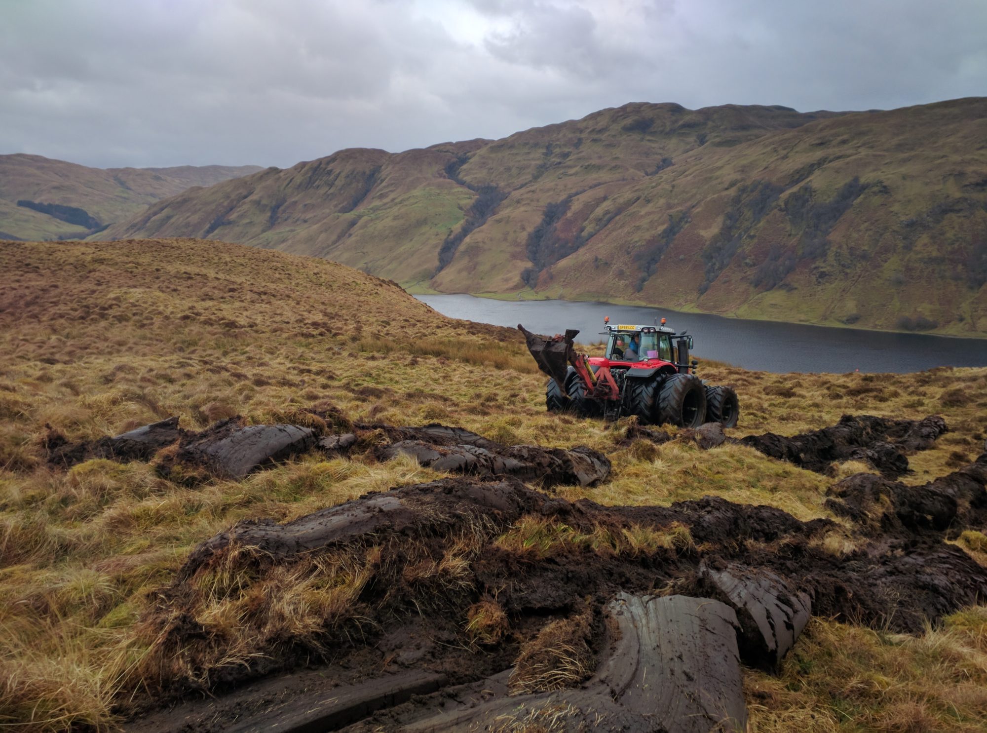 Mounding Vs. Ploughing - Tilhill Forestry