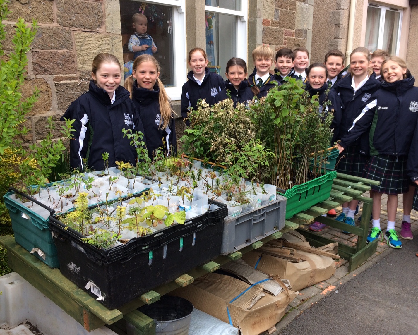 INSPIRATIONAL SCHOOL PRAISED AHEAD OF 'TREE OSCARS' - Tilhill Forestry
