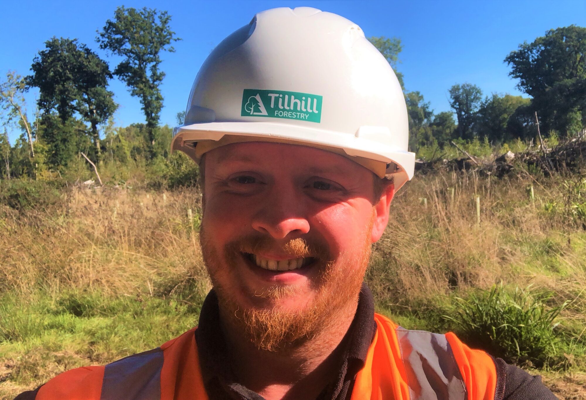 Southern England - Tilhill Forestry