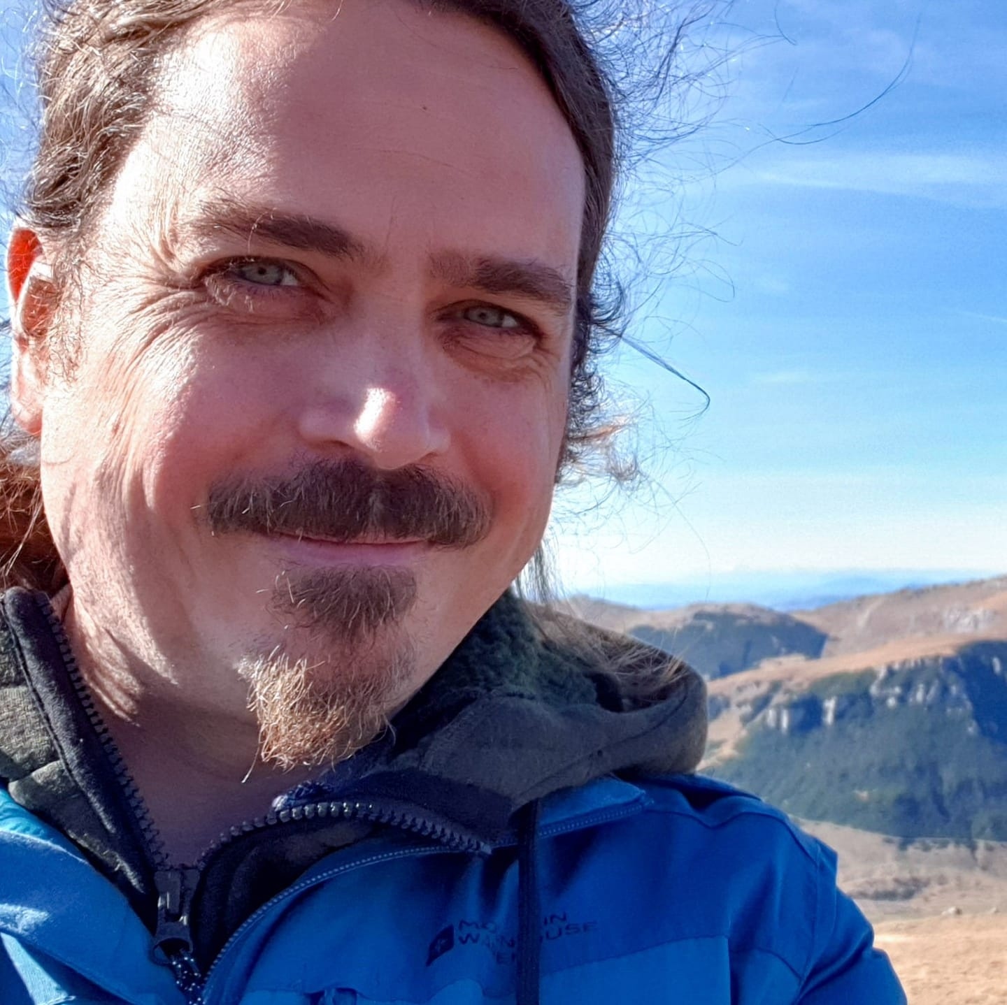 What future is the forest growing? - Tilhill Forestry