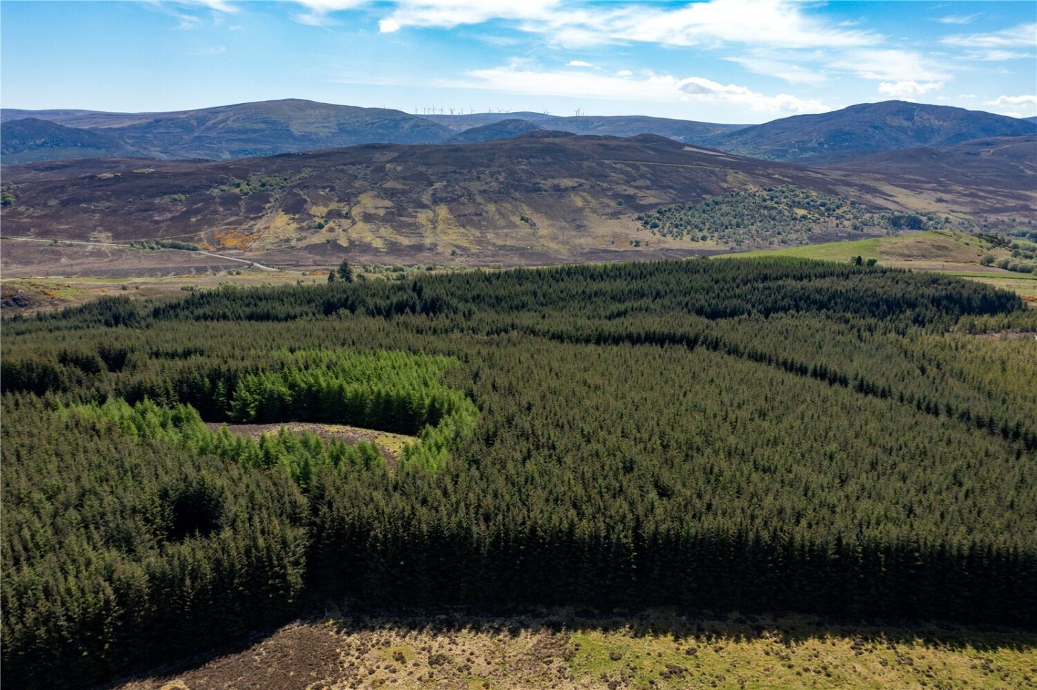 Environmental Protection in Forestry - Roles and Responsibilities ...