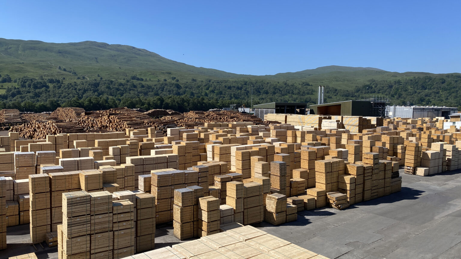 Timber Harvesting and Timber Marketing - Tilhill Forestry