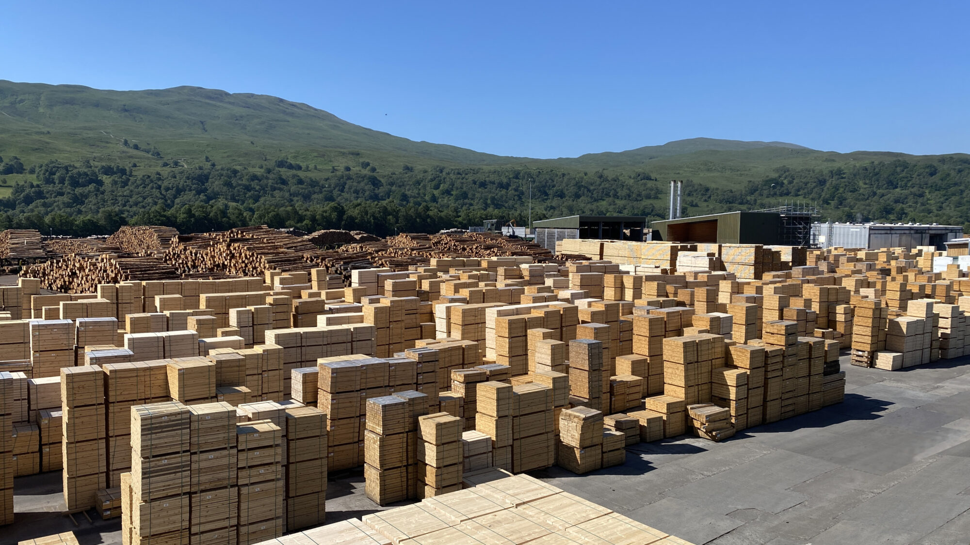 The UK Forest Market Report - Tilhill Forestry