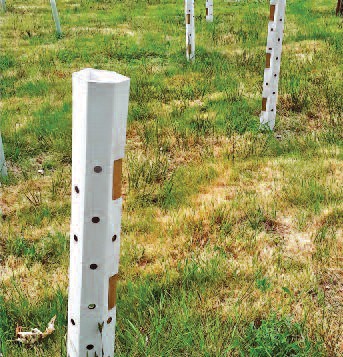 Call to Action - Tilhill Forestry