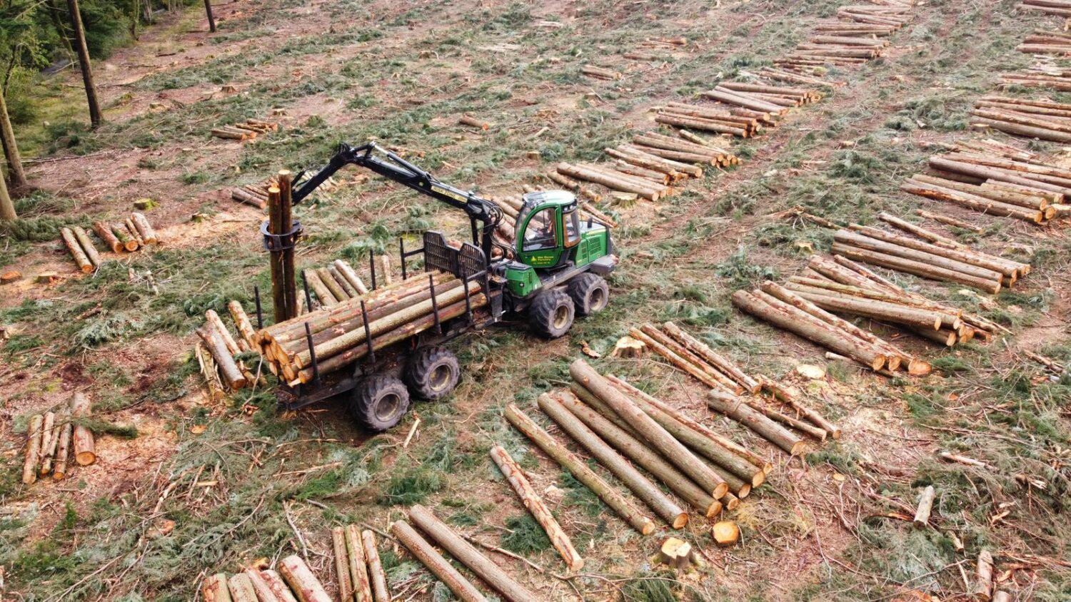 Timber Harvesting and Timber Marketing - Tilhill