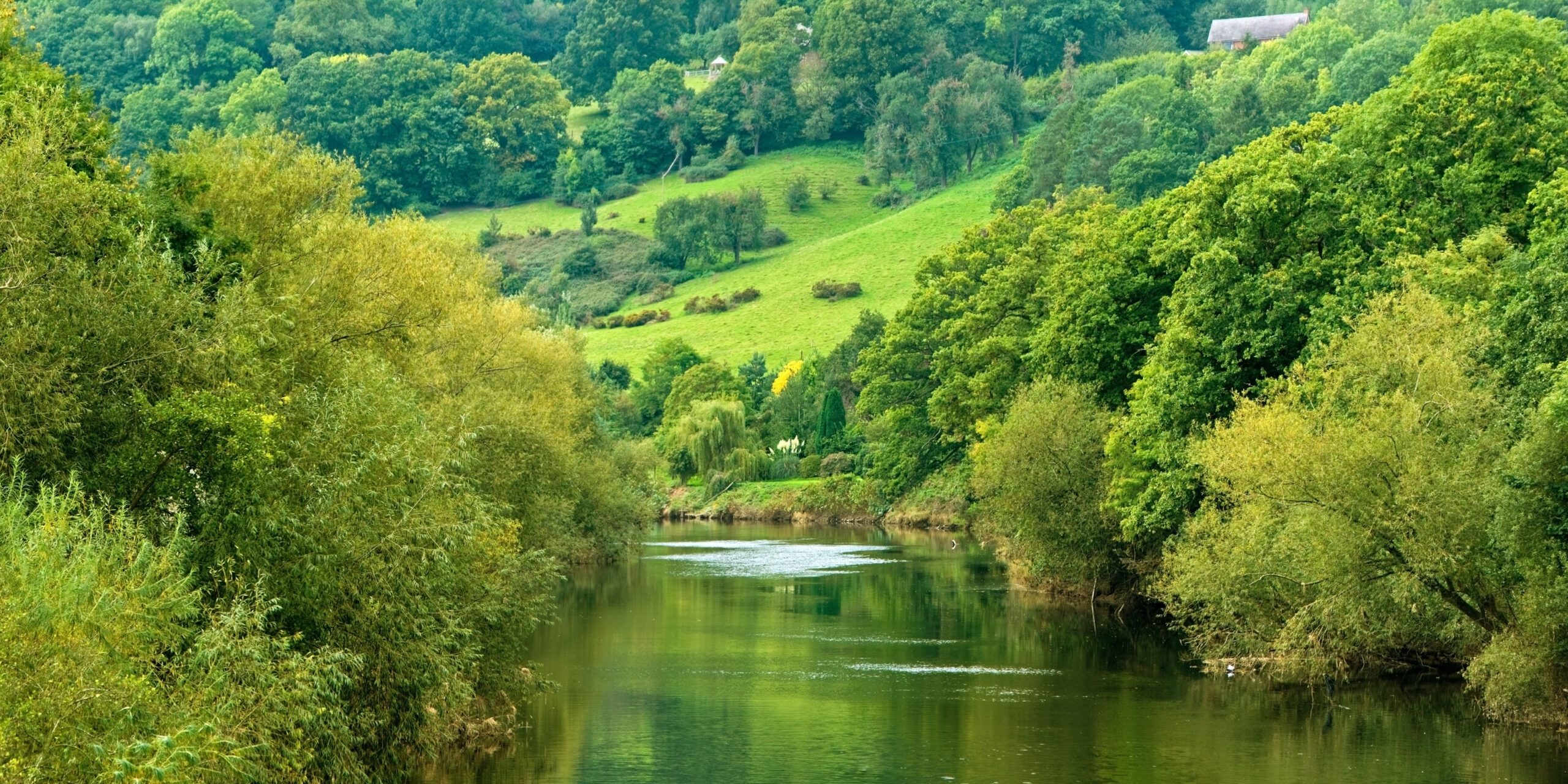 Natural Capital - Tilhill Forestry Natural Capital - Tilhill Forestry