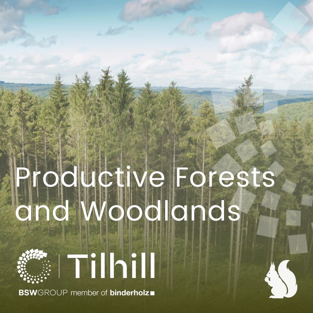 Conifer vs Broadleaf - Tilhill Forestry