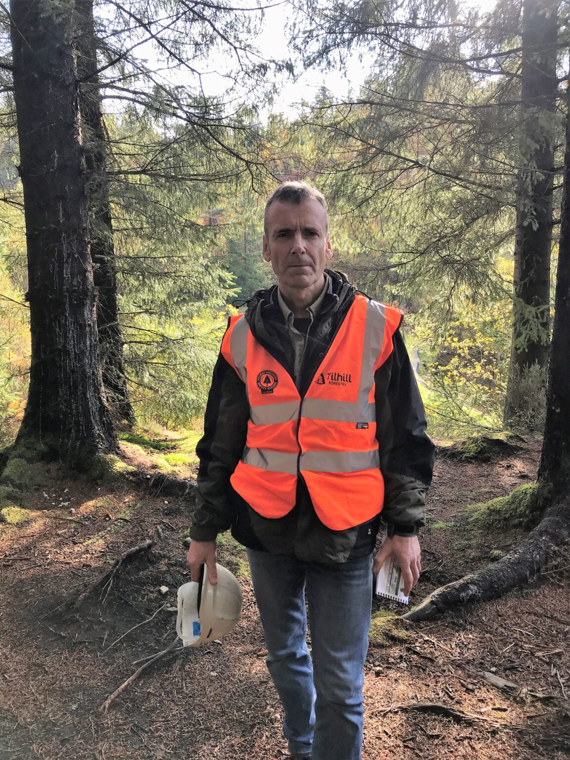 Conifer vs Broadleaf - Tilhill Forestry