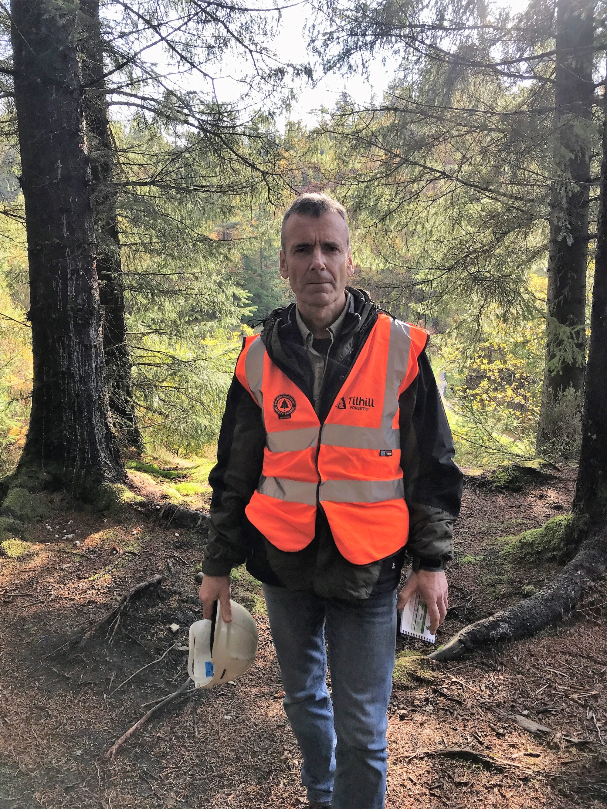 Conifer vs Broadleaf - Tilhill Forestry