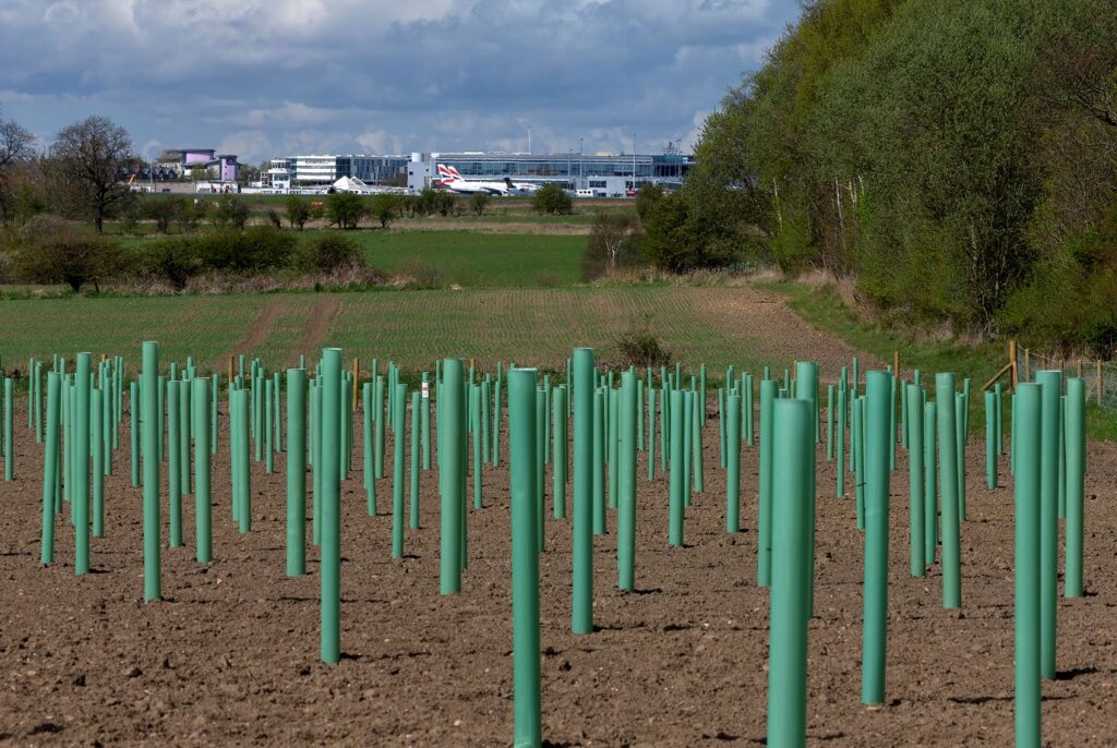 Tree Tube Trials - Tilhill Forestry