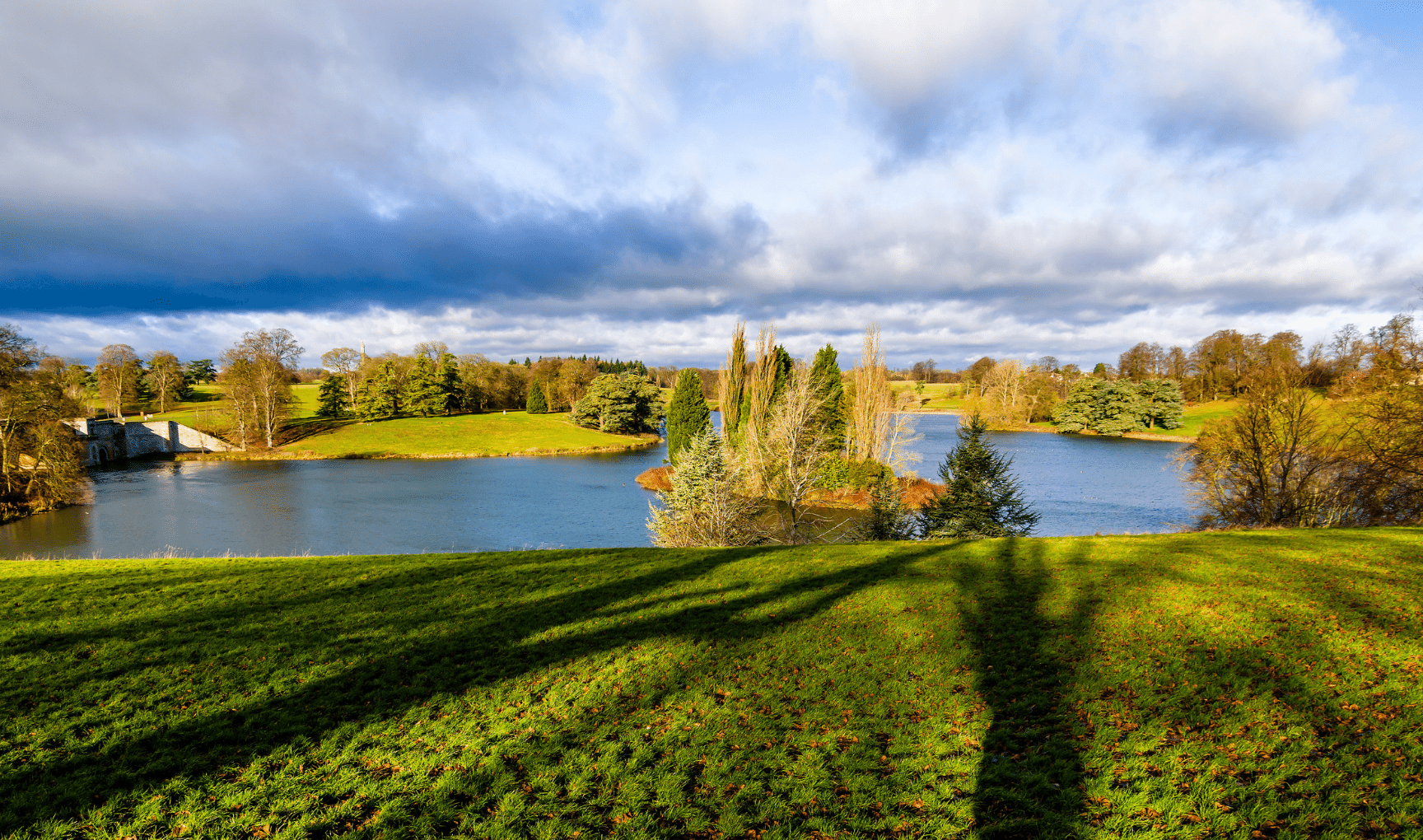 Jack Booth - Tilhill Forestry