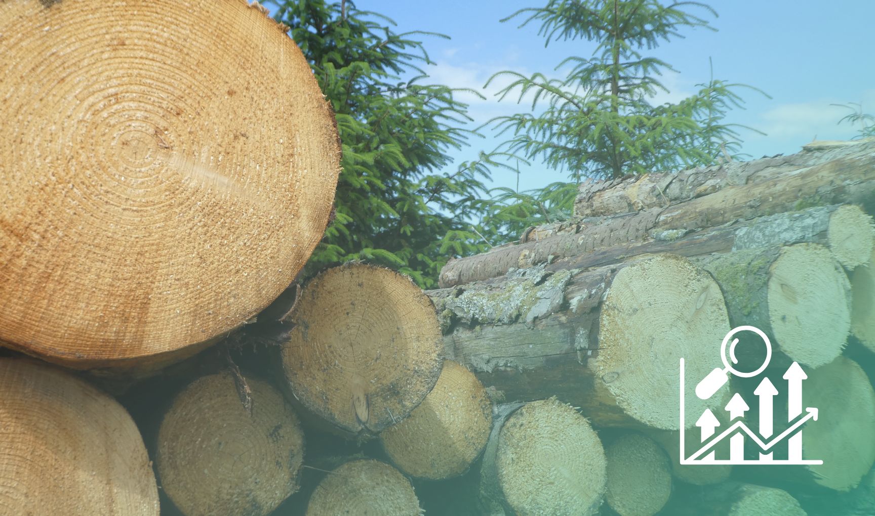 Why Invest? - Tilhill Forestry