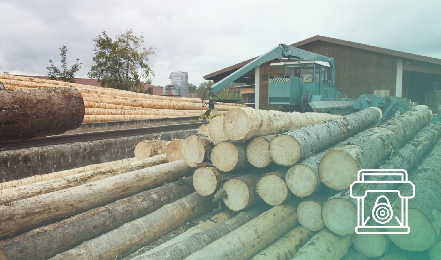 Timber Investment and Price Drivers - Tilhill Forestry