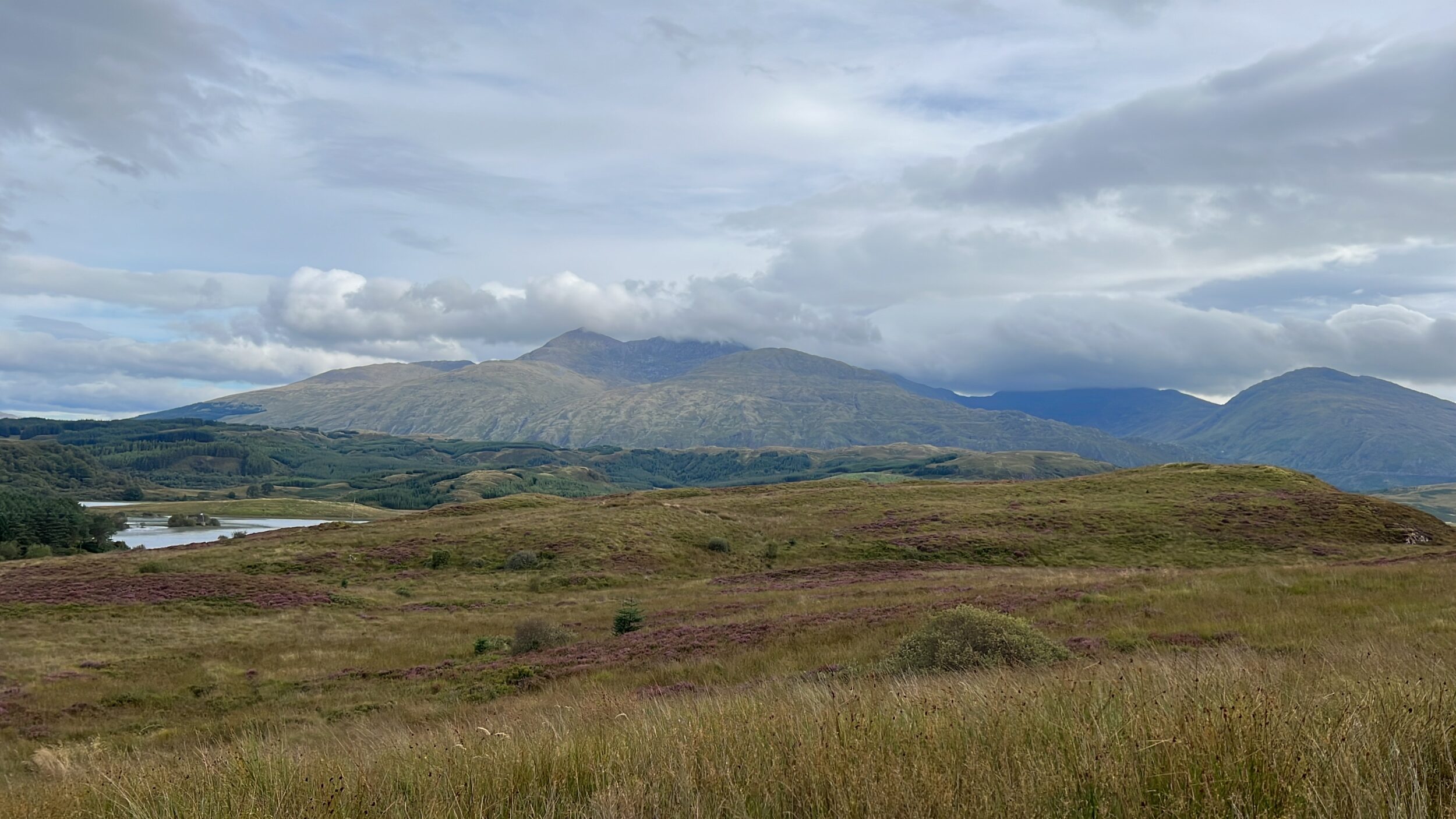 Barbreck - Tilhill Forestry