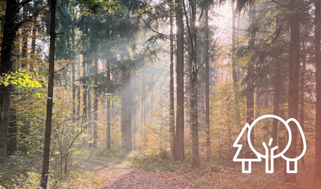 Natural Capital - Tilhill Forestry