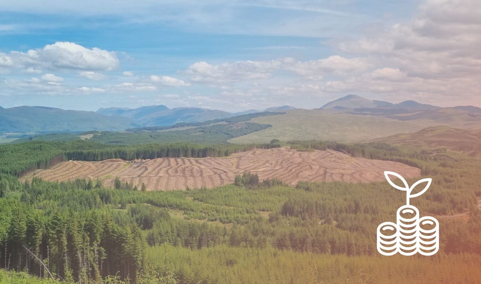 Natural Capital - Tilhill Forestry