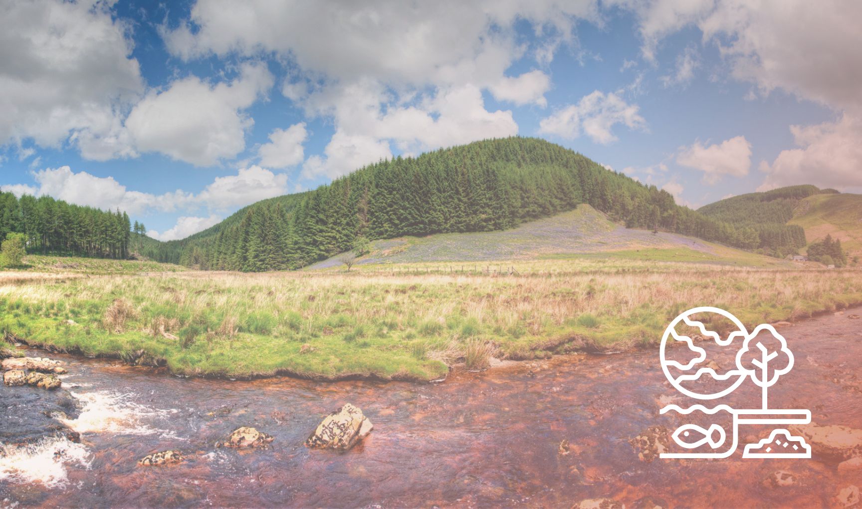 Natural Capital - Tilhill Forestry