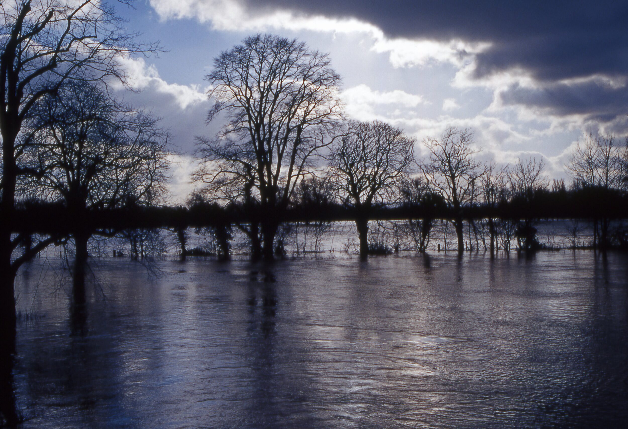 New Climate Change Hub from Forest Research - Tilhill Forestry