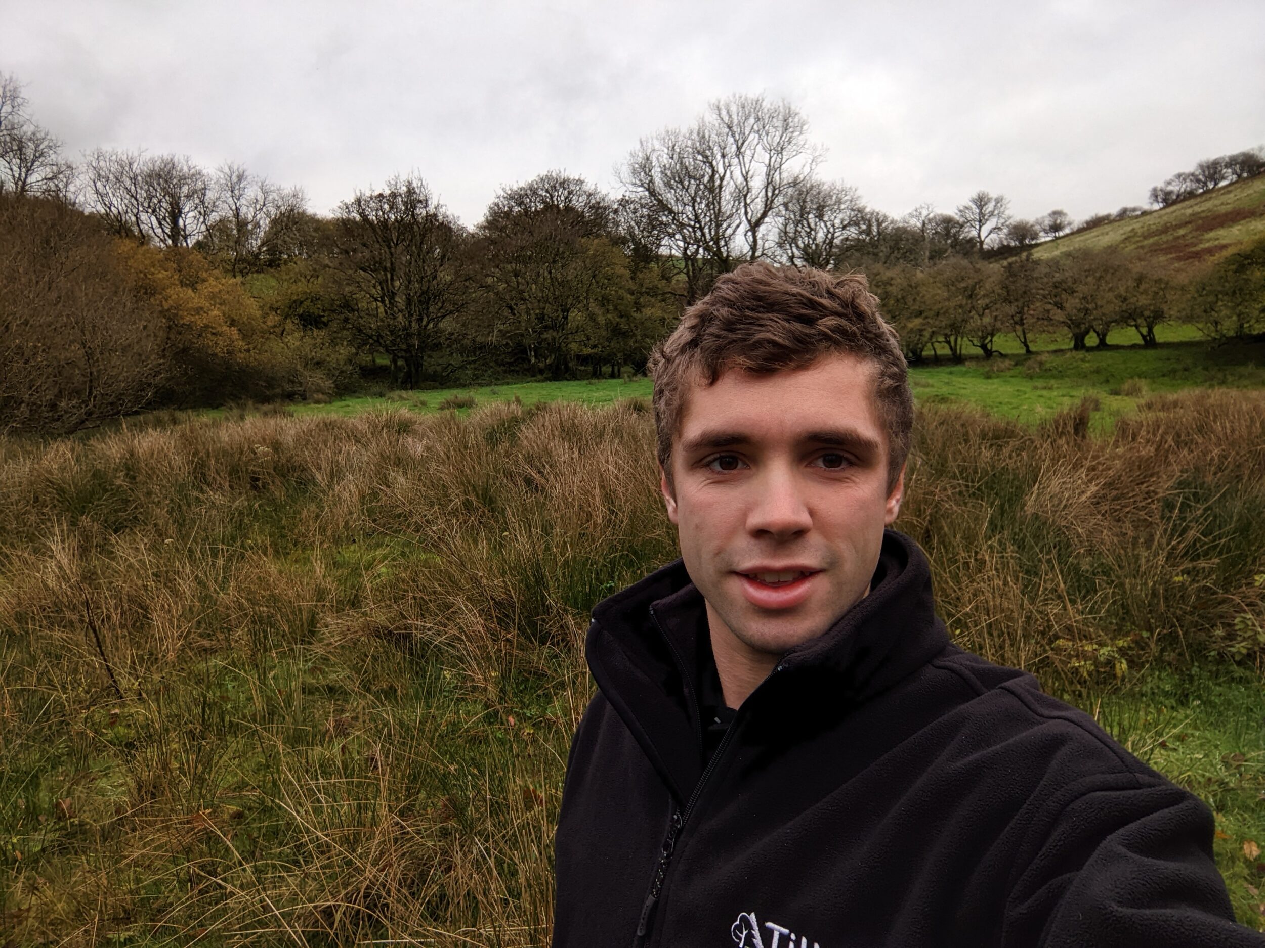 Wales and Marches - Tilhill Forestry