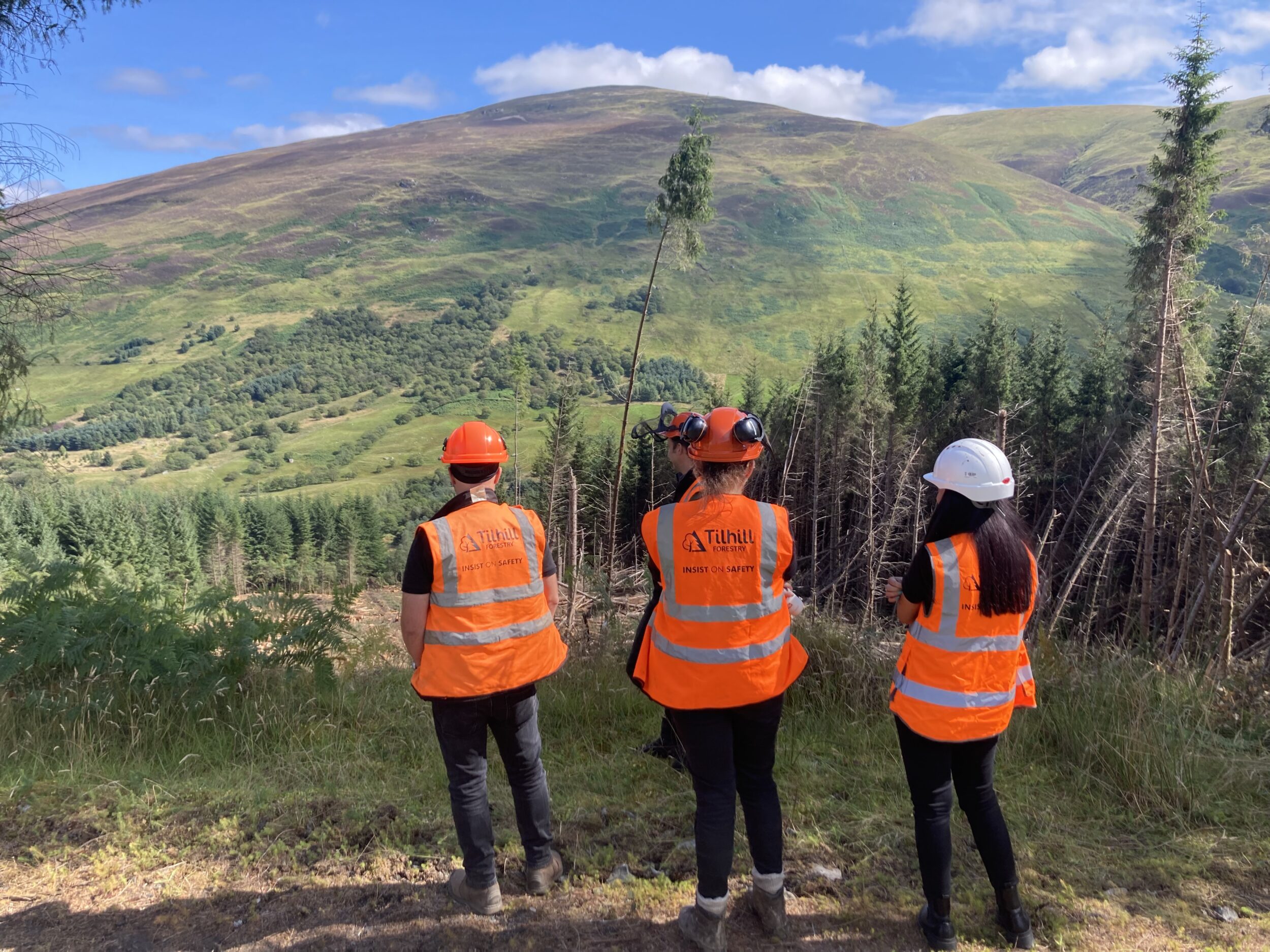 5 Lessons To Be Learnt in Forest Management - Tilhill Forestry