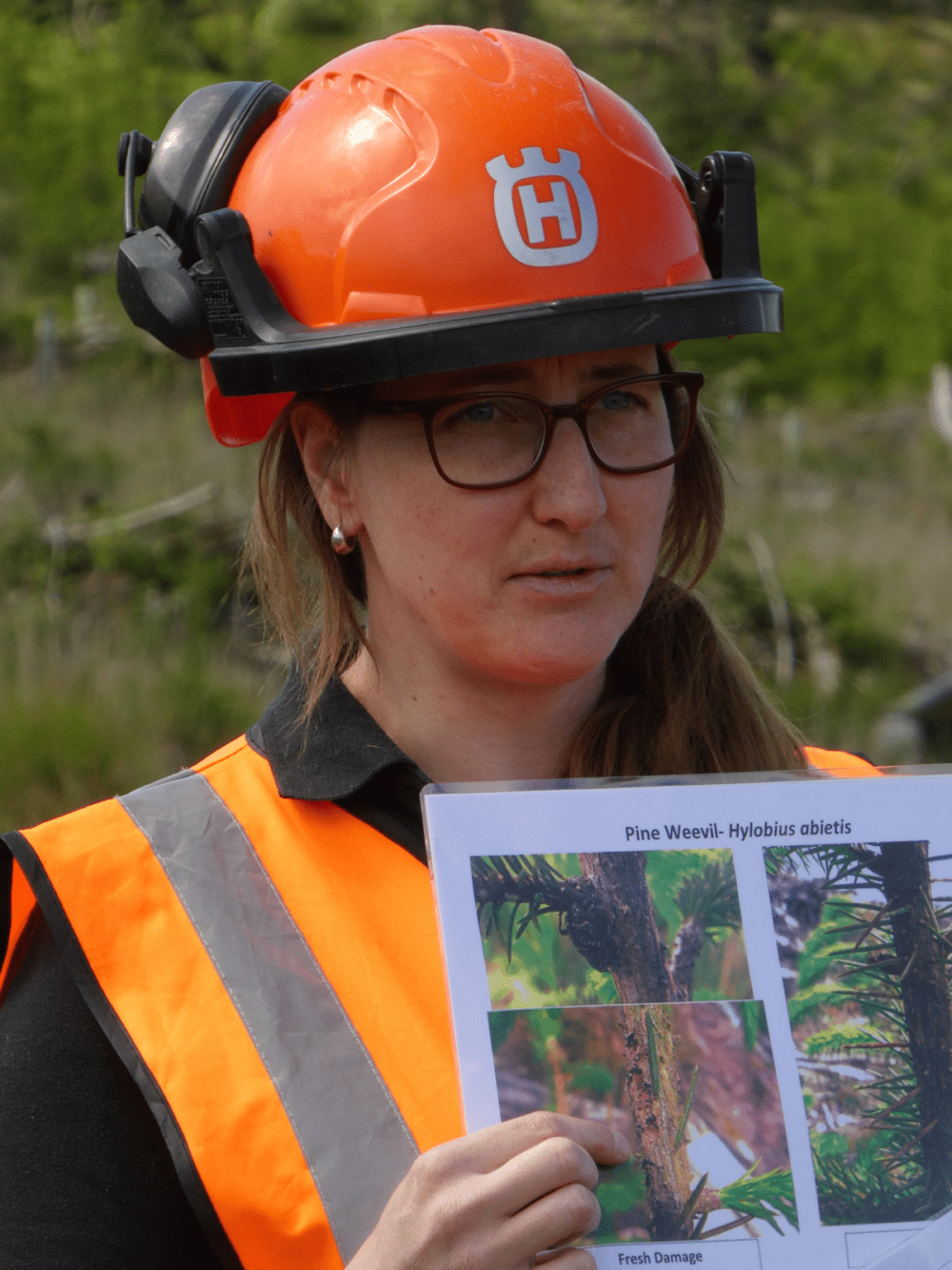 Tilhill Staff Grow Their Professional Chartered Foresters Member’s ...