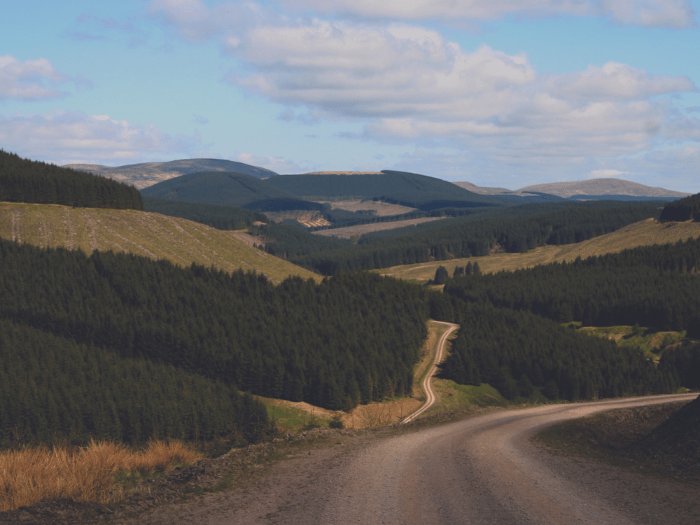 Future-Proofing a Scottish Forest - Tilhill Forestry