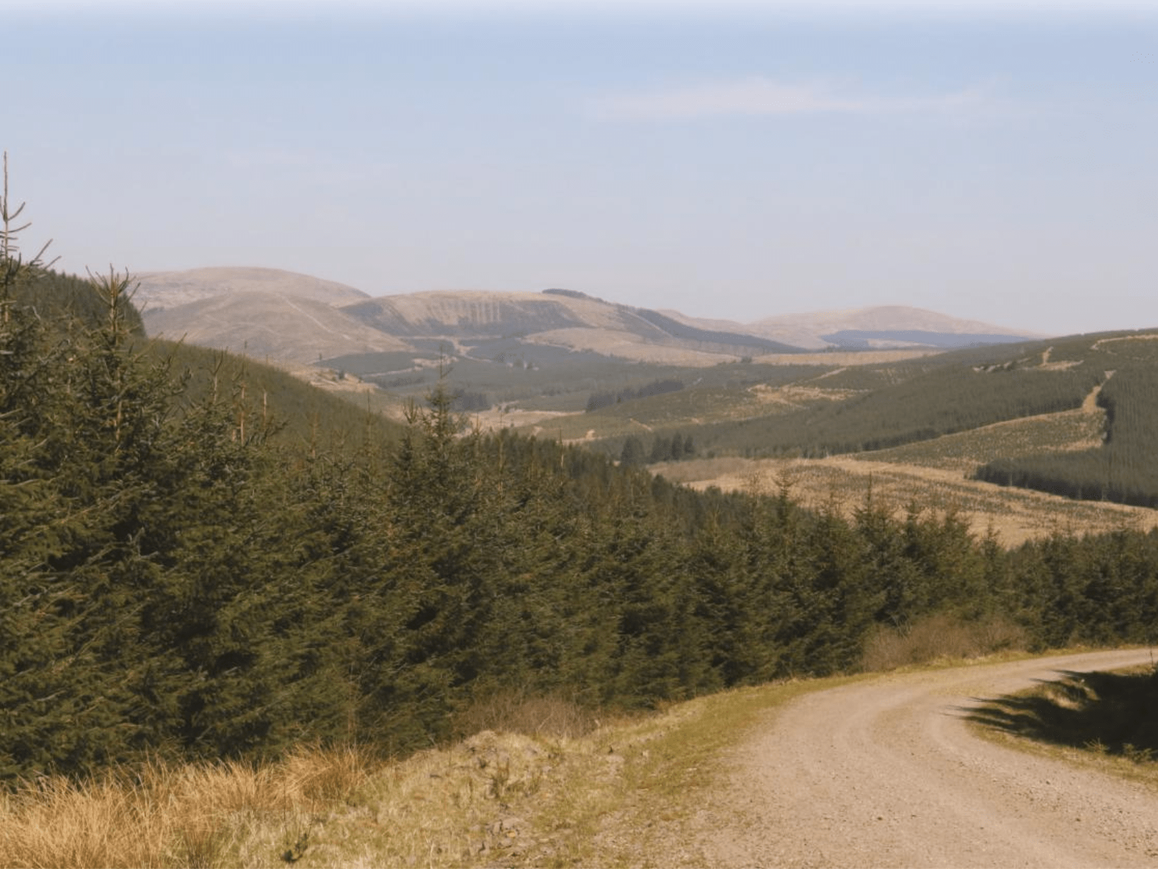 Future-Proofing a Scottish Forest - Tilhill Forestry