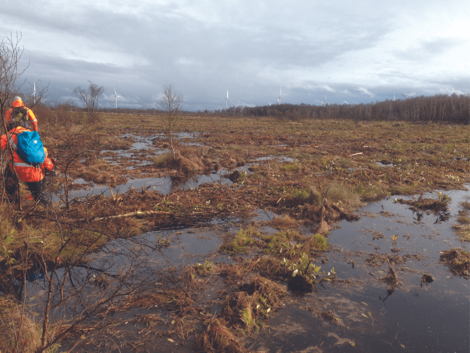 Peatland Restoration - Tilhill Forestry