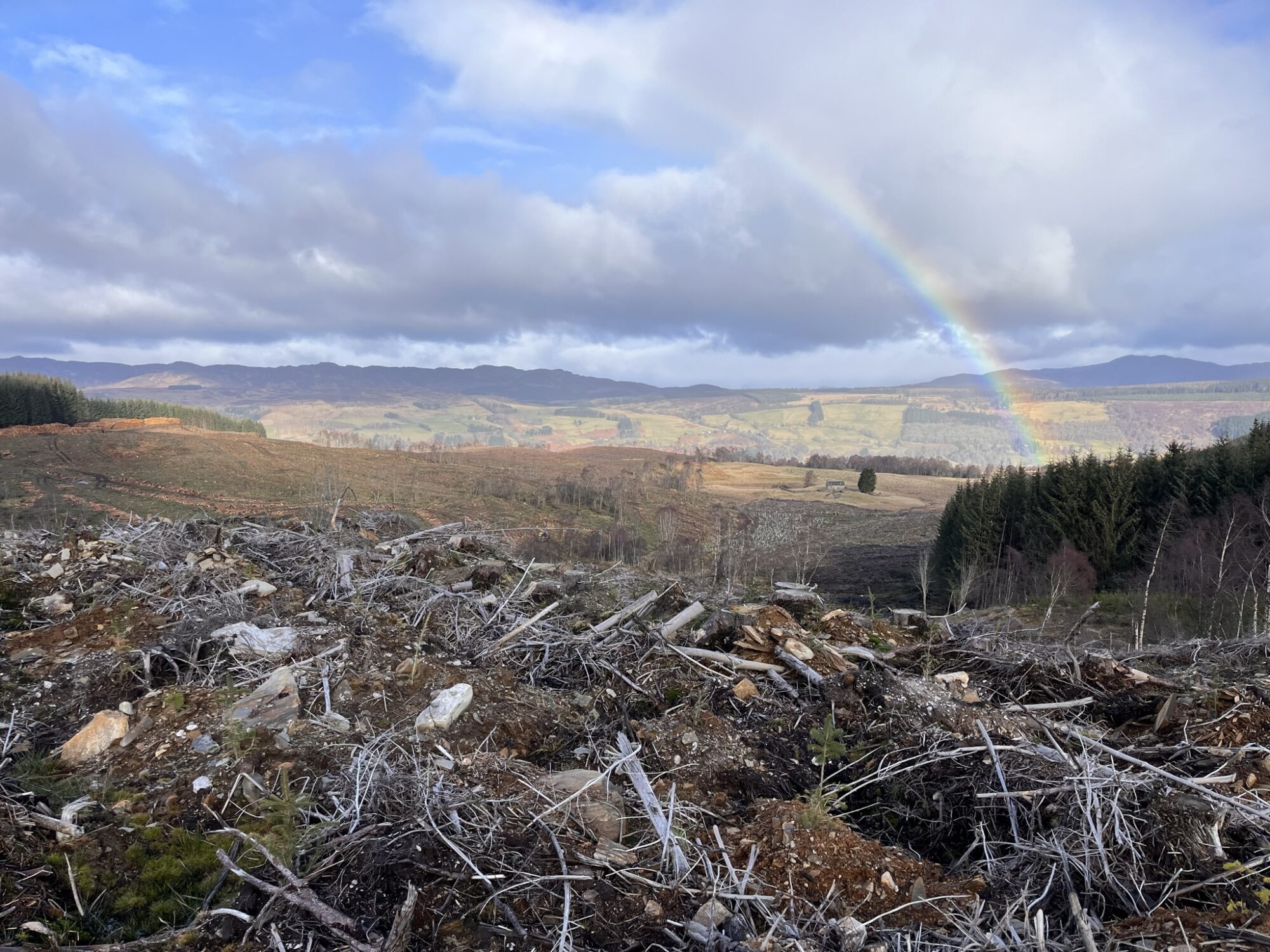 5 Lessons To Be Learnt in Forest Management - Tilhill Forestry