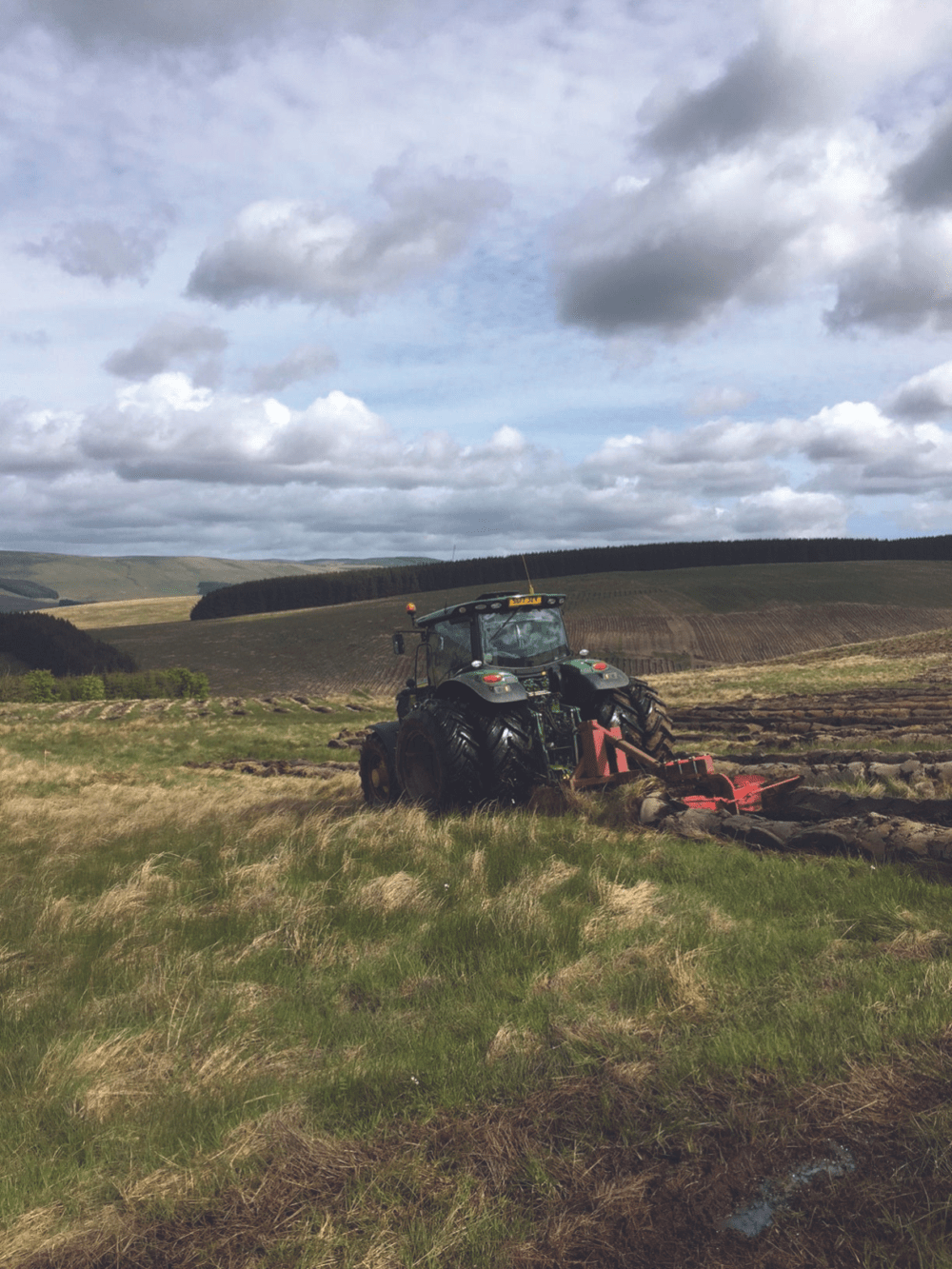 Farmland Returned Back to a Forest - Tilhill Forestry