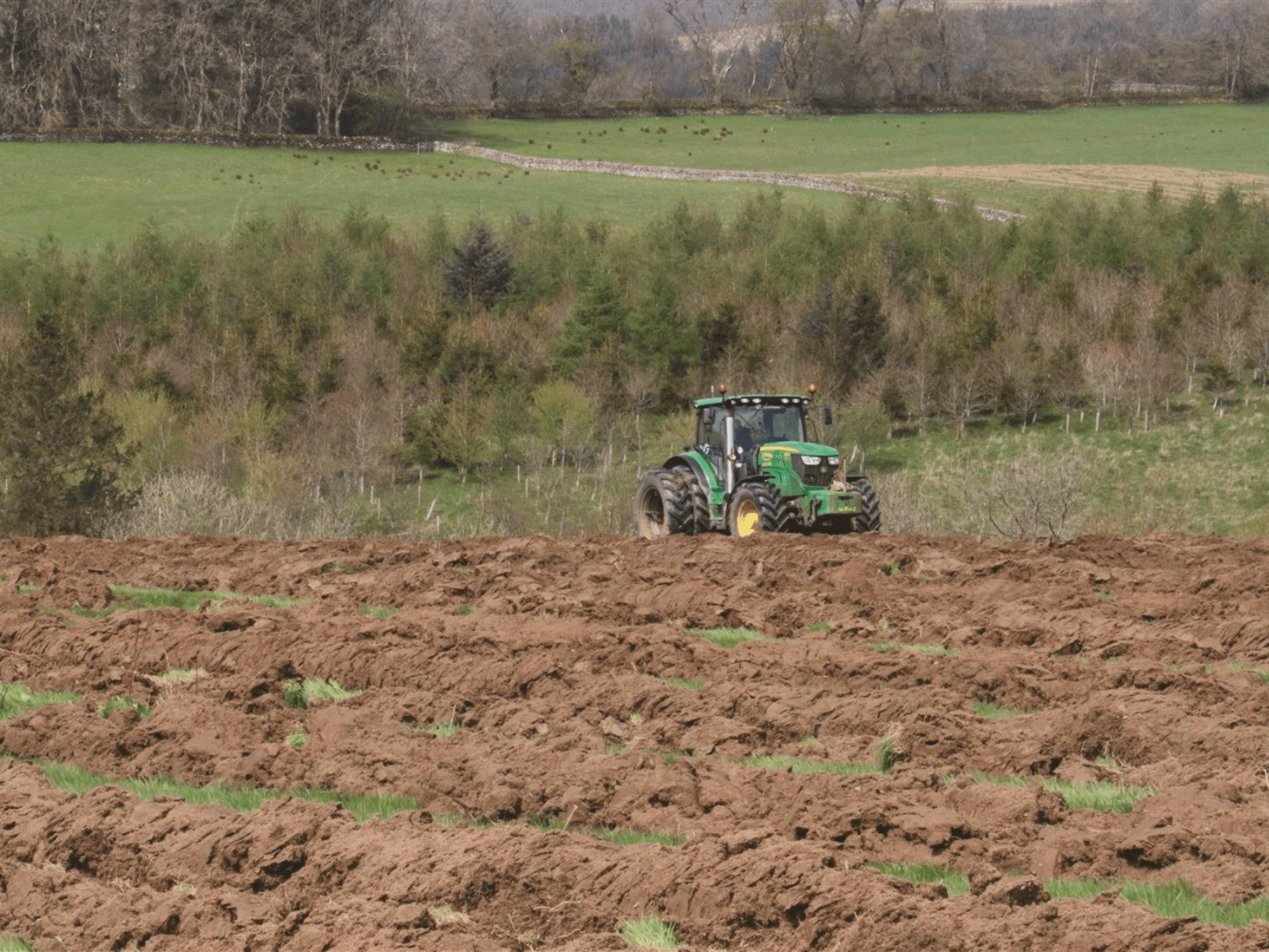 Farmland Returned Back to a Forest - Tilhill Forestry