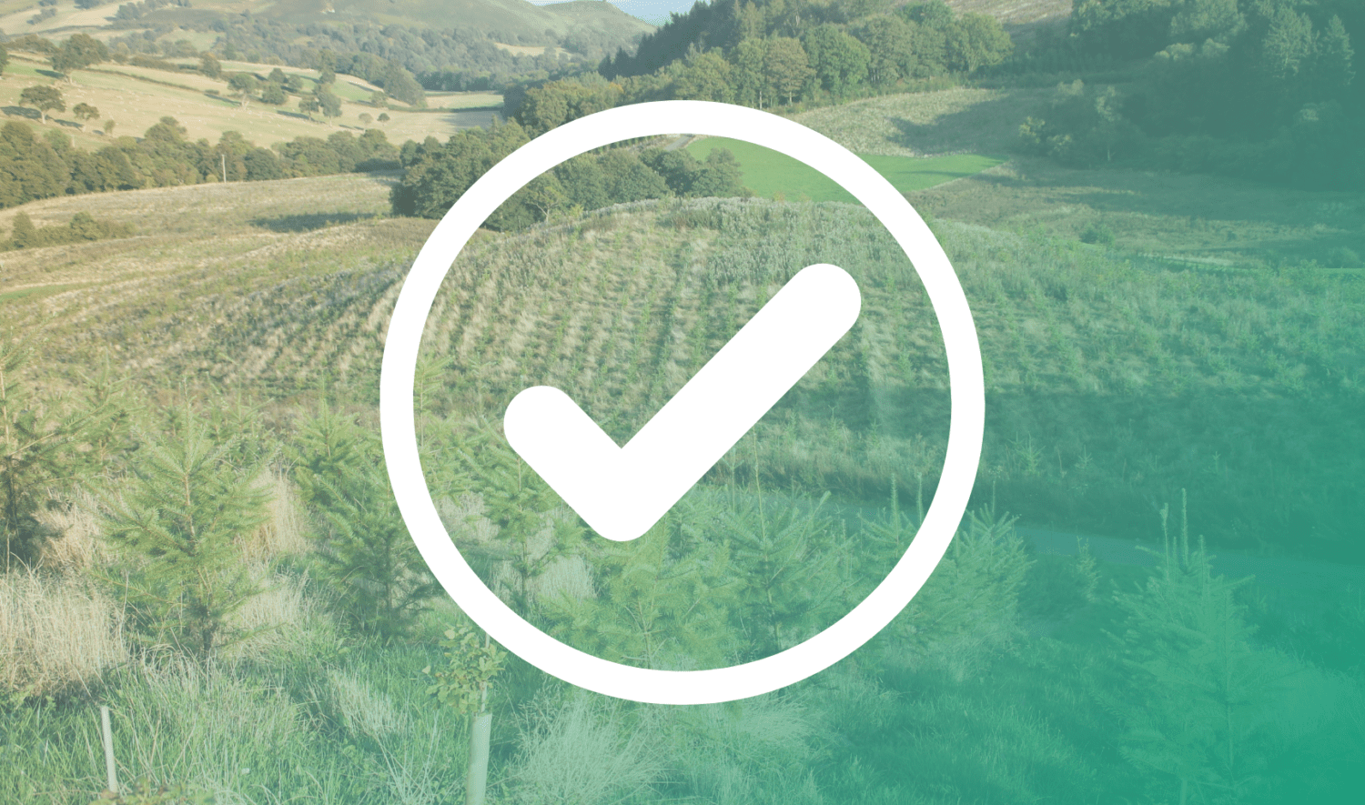 Managing a Sustainable Productive Forest Case Study - Tilhill