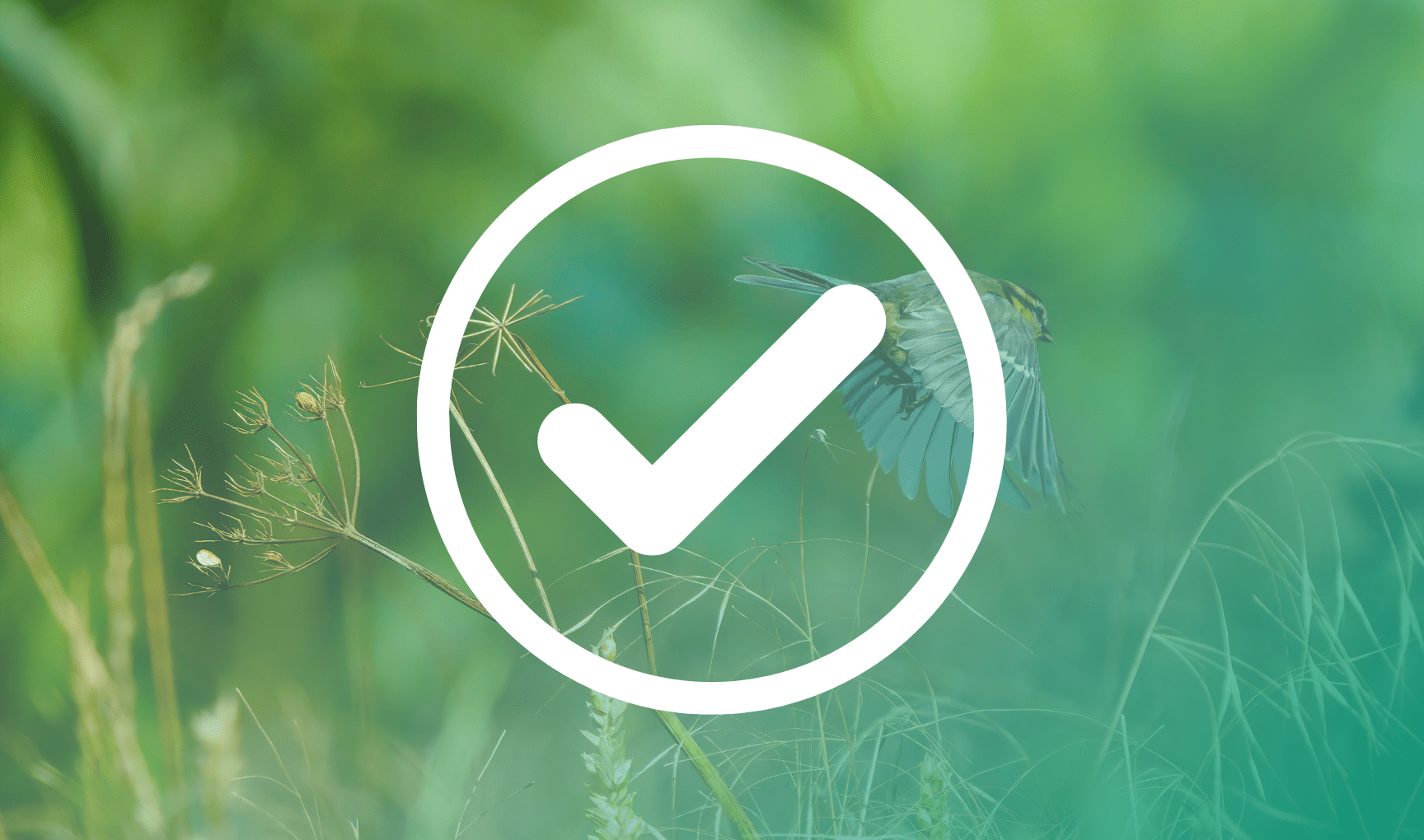 Managing a Sustainable Productive Forest - Tilhill Forestry