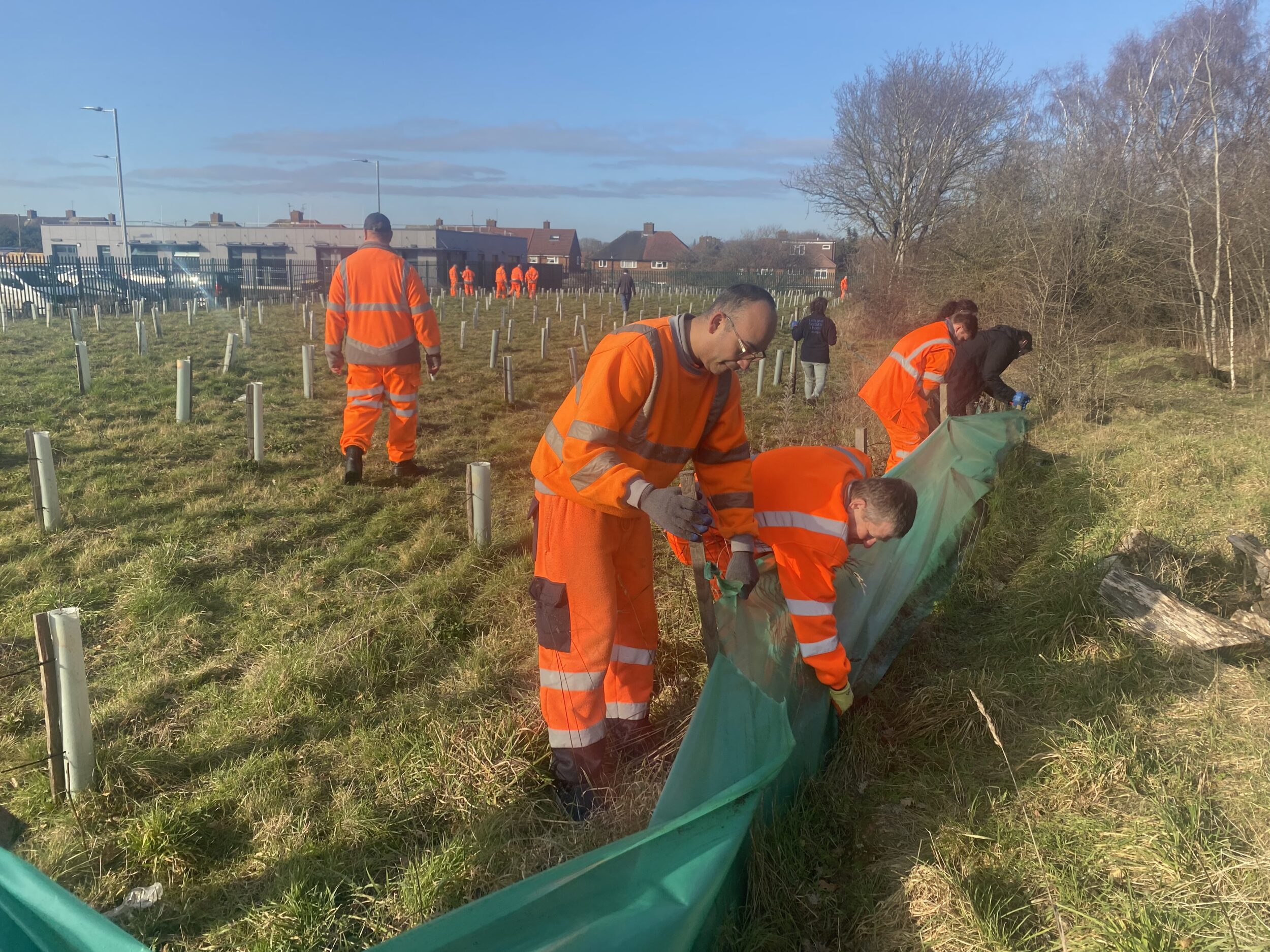 Historic Marshalling Yard Rejuvenated by Biodiversity Improvements ...