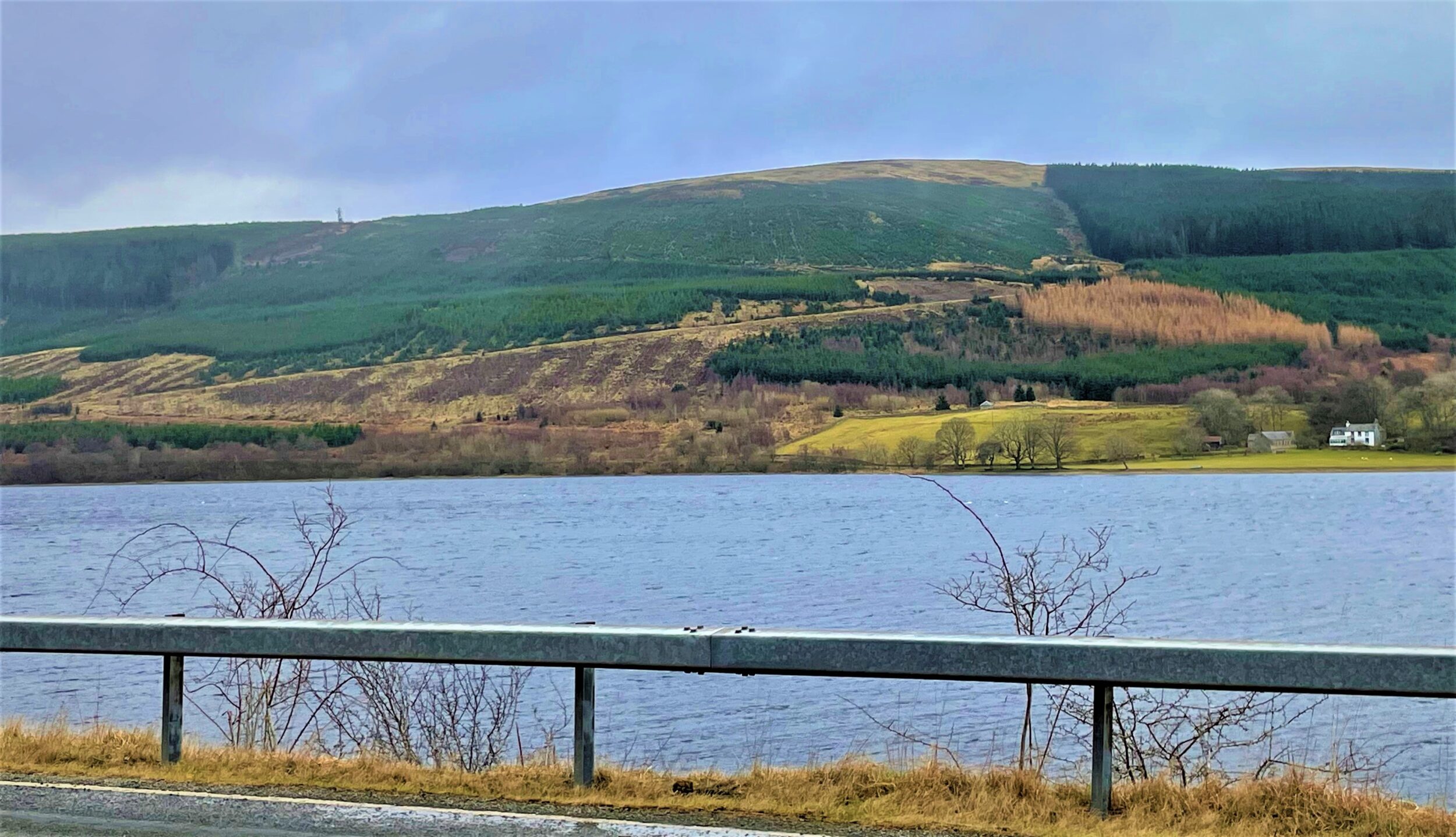 Managing a Sustainable Productive Forest - Tilhill Forestry