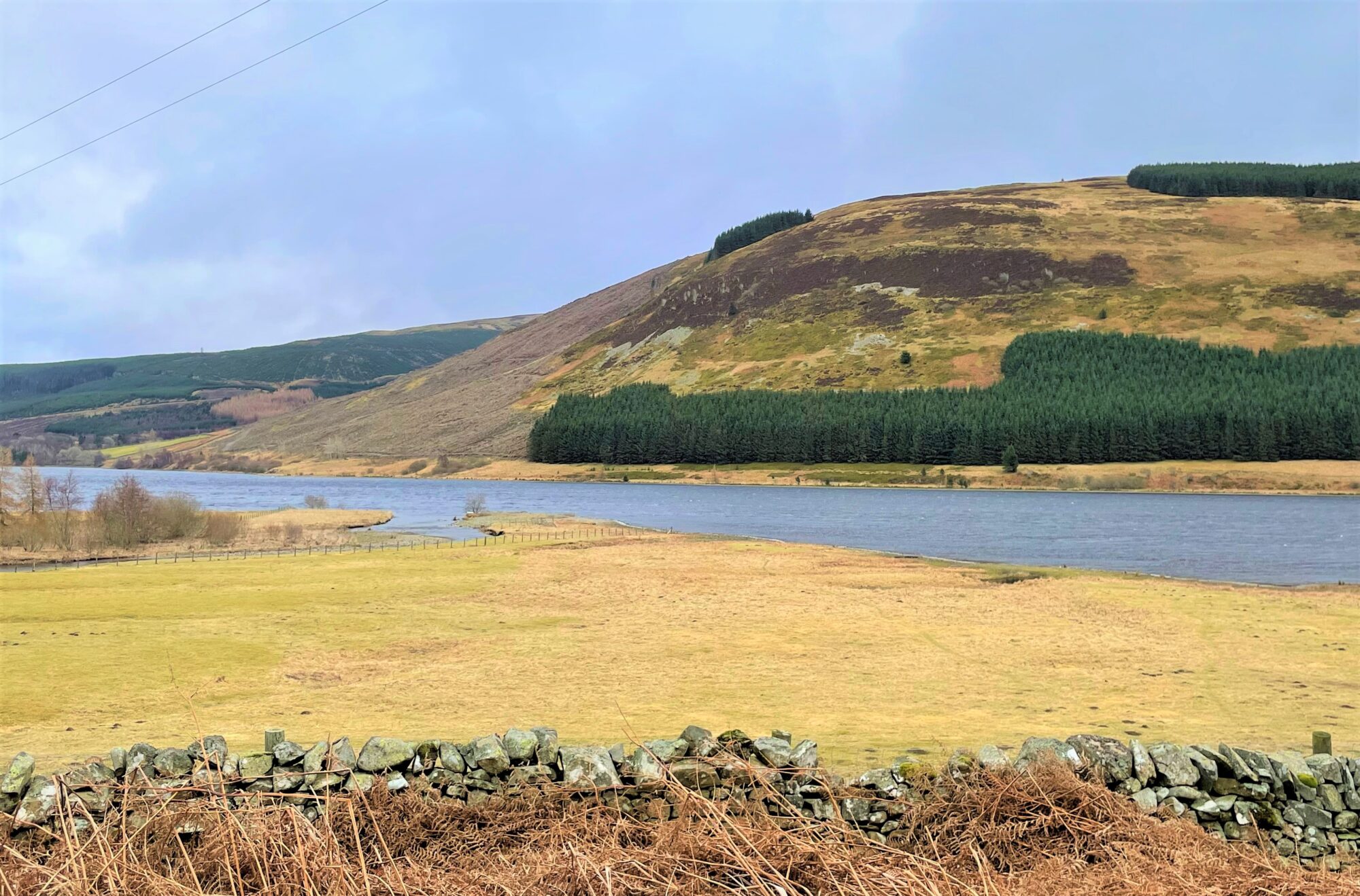 Managing a Sustainable Productive Forest - Tilhill Forestry