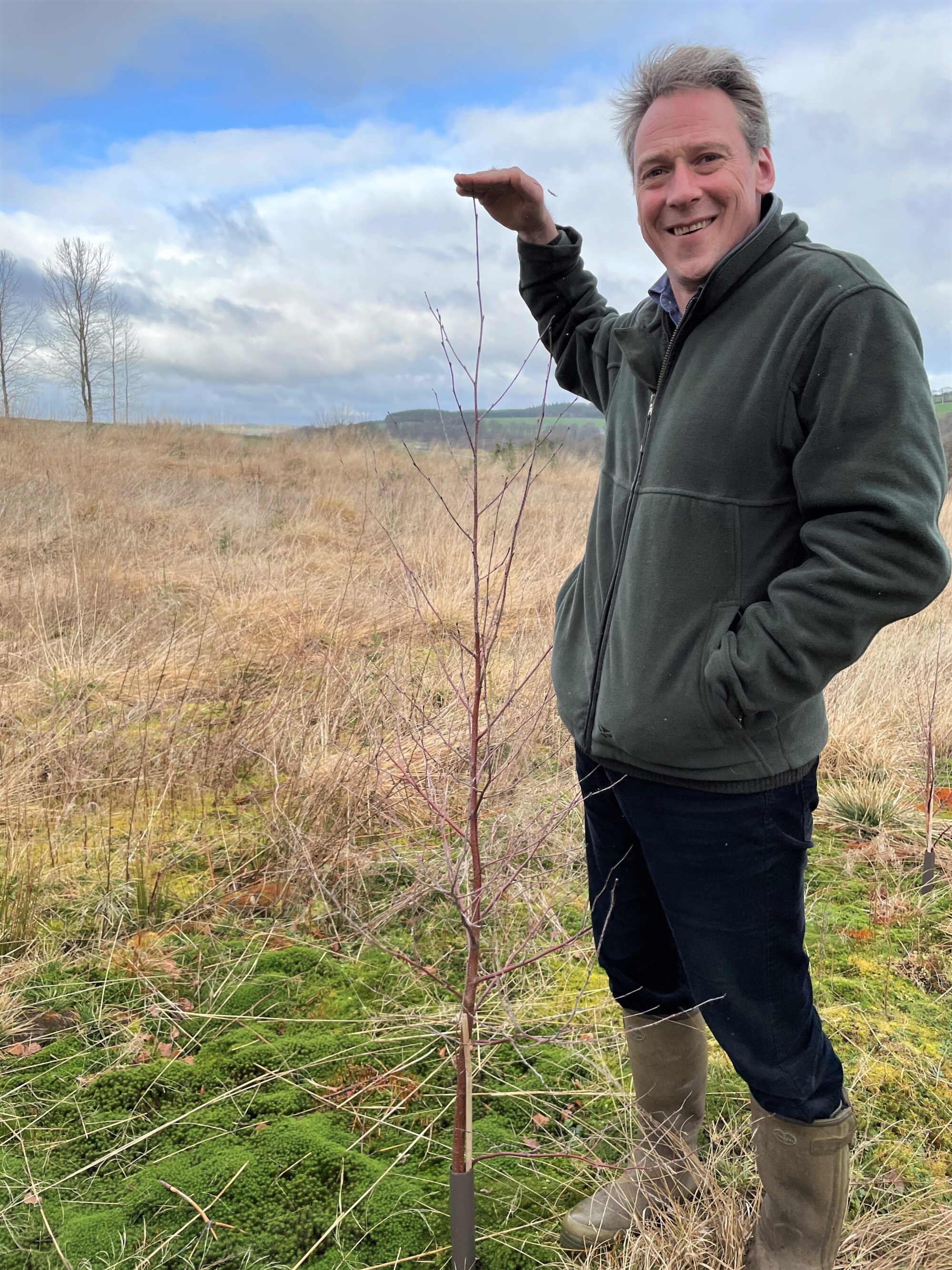 Tree Planting for Carbon, Biodiversity and Timber - Tilhill Forestry